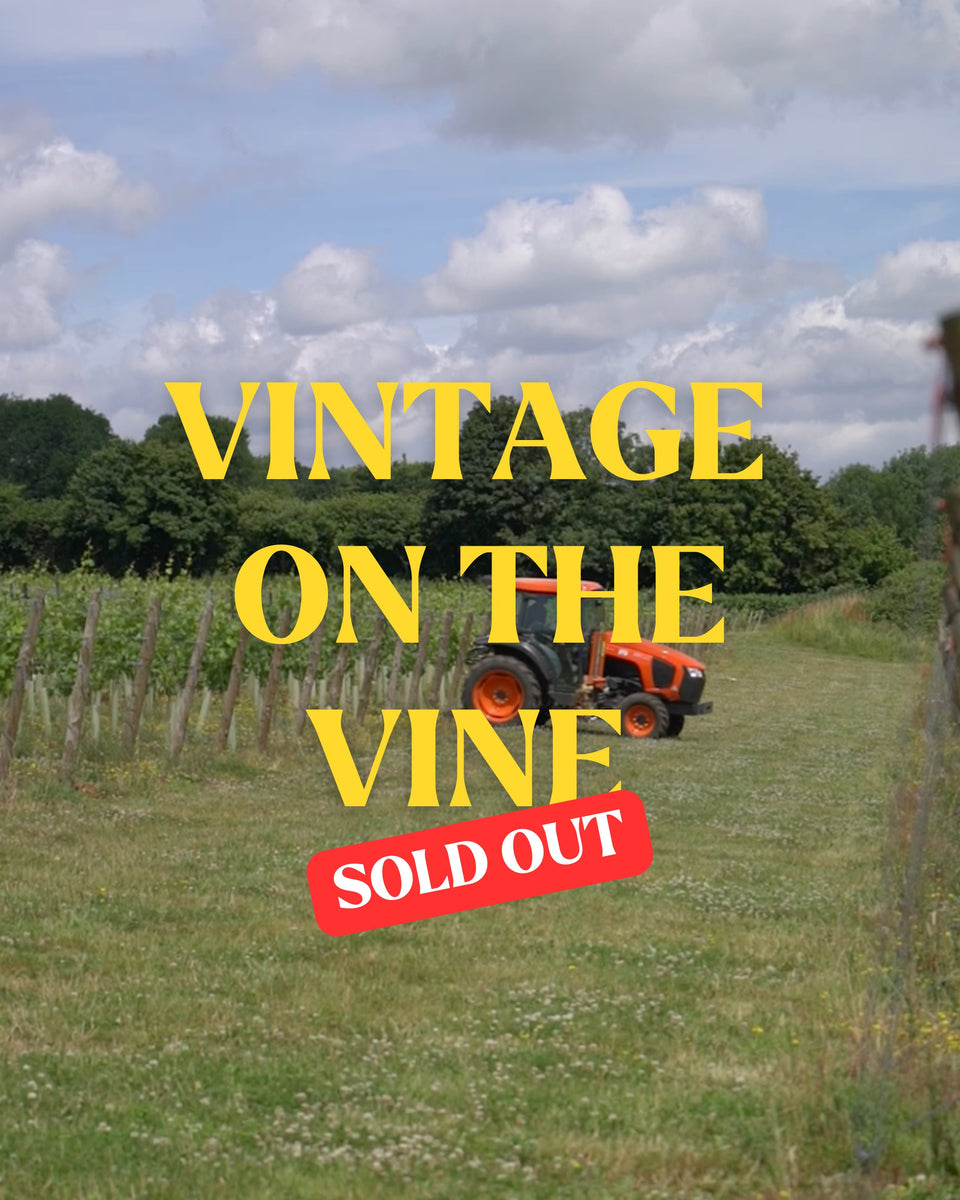 Vintage on the Vine – Farly
