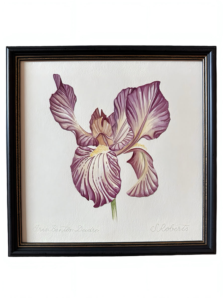 Iris Benton Deidree 2 – Farly